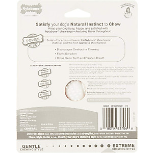 Dura Chew Dental Dino