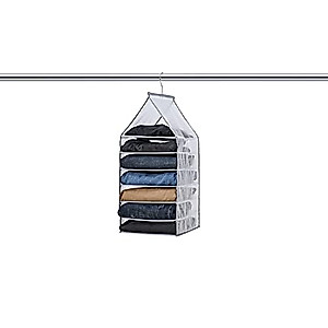 TEGOOL Hanging Closet Organizer, Tier Shelf for Folded Pants Clothes,with Sturdy Hooks Closet Organizers and Storage Bins for Jeans, Trousers,Sweater (6-Shelf)