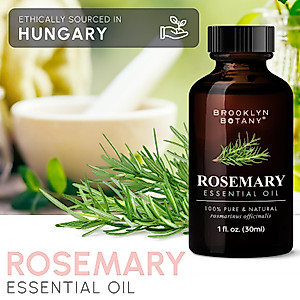 Brooklyn Botany Rosemary Essential Oil – 100% Pure and Natural – Premium Grade Oil with Dropper - for Aromatherapy and Diffuser - 1 Fl Oz