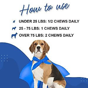WONDER PAWS Daily Multivitamin Chews Plus Probiotic Superhero Chews - for Dogs Immune Support, Digestive Health, Gut Health & Overall Wellness - Daily Multi 60 Chews - Probiotic 90 Chews