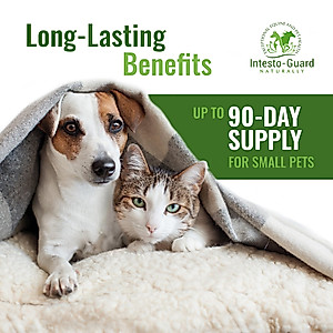 Powder Probiotics 90 Scoops​ for Dogs & Cats Bowel Digestive Immune Support Supports Gut Flora Nutrition Immunity 180G Bottle - 90 Scoops​ (Powder)