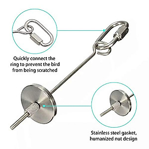 Brave Tour Bird Food Holder, Bird Feeders, Stainless Steel Parrot Fruit Vegetable Stick Holder, Foraging Toy, Bird Treat Skewer