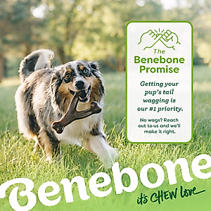 Benebone Wishbone Durable Dog Chew Toy for Aggressive Chewers, Real Peanut, Made in USA, Small, for Any breed