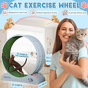 Cat Wheels for Indoor Cats, 31.5'' Cat Exercise Wheel, Cat Wheel with Brake, Removable Running Mat, Easy to Install,Cat Wheel Exerciser for Cat's Fitness & Health,Suitable for Most Cats (Blue)