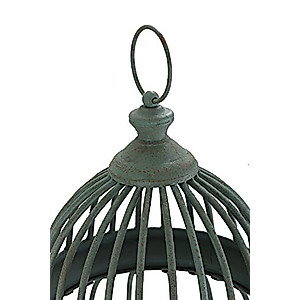 IMAX 47489 Charlotte Birdcage Shelf