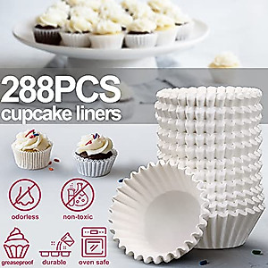 LotFancy Mini Cupcake Containers, 24 Count, 12 Pack Plastic Cupcake Holder with 288 Cupcake Liners, Clear Disposable Mini Cupcake Carriers with Detachable Dome Lid