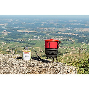 Coleman Fyrestorm PCS Stove Backpacking Stove