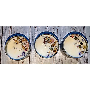 Mango Coconut Milk Delectable Garden Handmade Aromatherapy Natural Scented Soy Candle- 4 oz. Clean Burning.