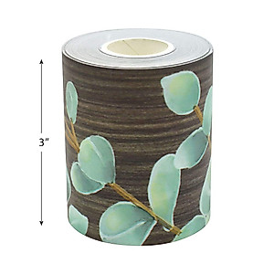 Teacher Created Resources Eucalyptus Straight Rolled Border Trim - 50ft - Decorate Bulletin Boards, Walls, Desks, Windows, Doors, Lockers, Schools, Classrooms, Homeschool & Offices
