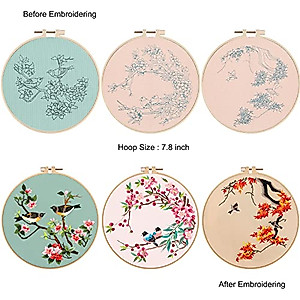 Anidaroel 3 Sets Embroidery Starters Kit for Beginners, Cross Stitch Kits for Adults Include 3 Embroidery Cloth with Birds Pattern, 1 Embroidery Hoop, Color Threads and Needles