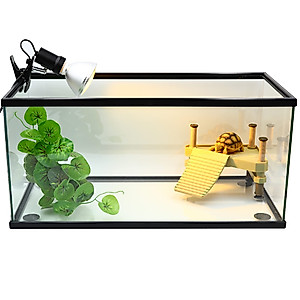 ExoRepti Reptile Heat Lamp Bulb Greenhouse Warming Bulb Reptile Light for Lizard, Turtle, Bearded Dragon, Hedgehogs, Snake Amphibians, Chicks, With 2 Bulb Beads (75 Watt). New Replaceable Bulbs Design