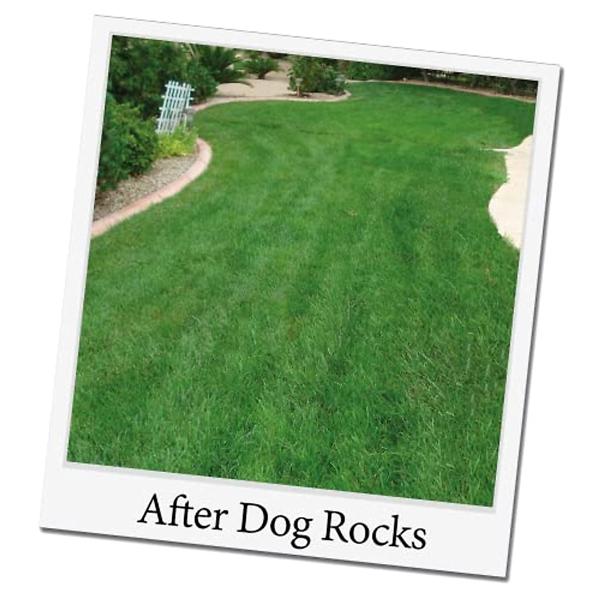 Dog Rocks - Prevent Grass Burn Spots by Urine - Save Your Lawn from Yellow Marks - 600g