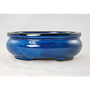 6" Oval Dark Blue Mame Shohin Bonsai/Succulent Pot + Tray + Rock + Mesh Combo