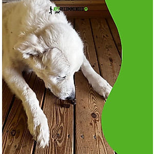 Vet Recommended™ Hip and Joint Supplement Chew for Small & Medium Dogs - Glucosamine, MSM & Chondroitin Chews | 60 Count