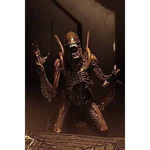 NECA Aliens - 7" Scale Action Figure - Series 14 - Alien Resurrection Warrior