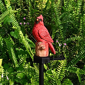 Juliahestia Cardinal Garden Decor Bird Figurine Solar Light Outdoor Stake Patio Yard Lawn Porch Cute Pathway Christmas Decorations Outside Gift Red