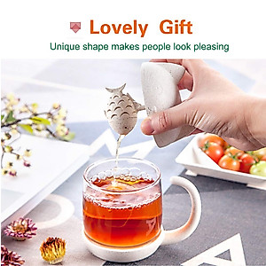 10 oz Cat Glass Cup Tea Mug with Infuser Set and Lid,Glass Teas Mug with Handle,Transparent Tea Cup with Fish Shaped Strainer Filter