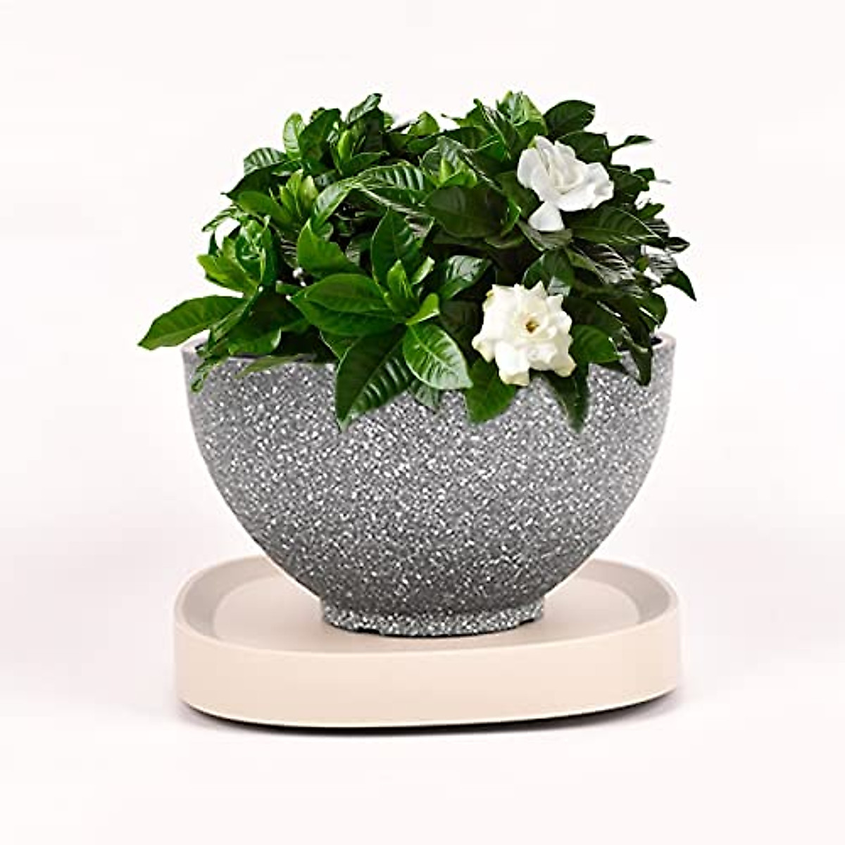 Plant Tray wth 4 Invisible Wheels, Plant Caddy with Wheels Rolling Plant Stand with Wheels 14 Inch Plant Dolly Heavy Duty Large Potted Plant Mover with Casters for Indoor and Outdoor(White Big)