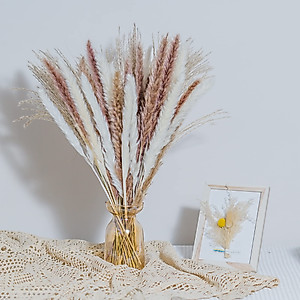 Spear SLENDERSUN Orchid Bouquet Dried Pampas Grass – Pack of 60 Pcs Tall Stems (17,7”) Soft & Fluffy Floral Bouquets Minimalist, Rustic, Luxury Home Garden Décor, White, Brown, Reed