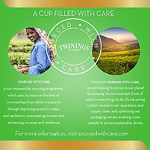 Twinings Cold Water Infusions Flavored Water Enhancer, Mango & Passionfruit, 12 Infusers 12 Count (Pack of 6)