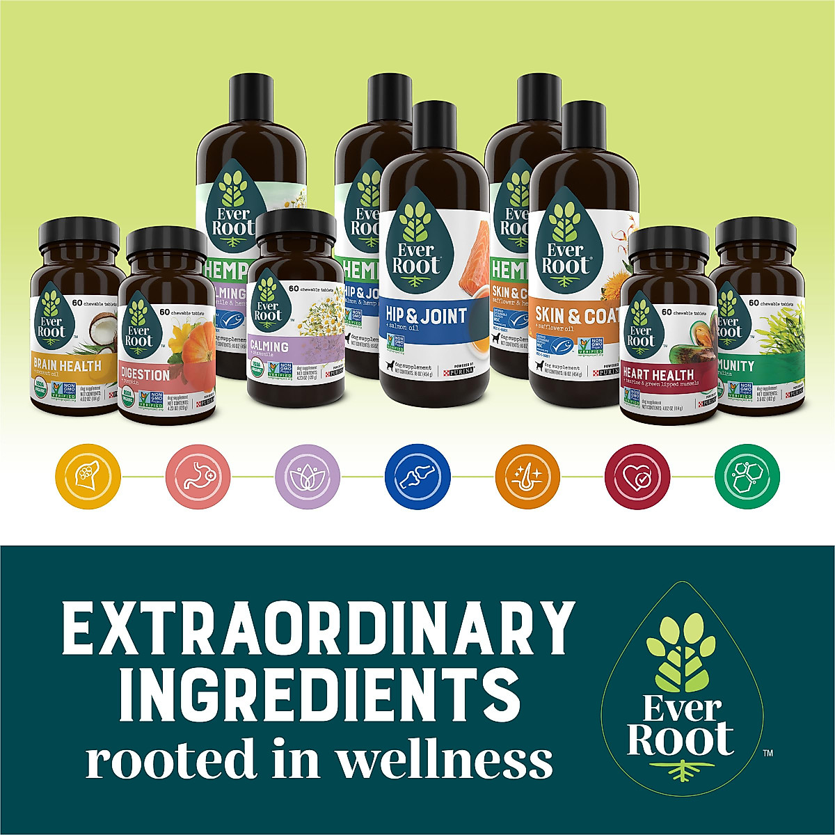 EverRoot Dog Heart Supplements Heart Health Chewable Tablets with Taurine and Green-Lipped Mussels - 4.02 oz. Canister