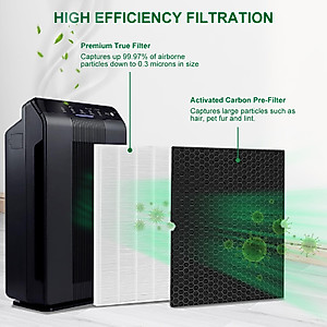 Laukowind 116130 Filter H Replacement for Winix 5500-2 Air Purifier and Models AM80-2, Includes 1 Pack Ture Filters and 1 Pack Activated Carbon Pre-filters (1 Sets)