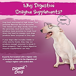 Vital Planet - Digest Dog Digestive Pancreatic Enzyme Blend with Pumpkin and Fennel to Support The Pancreas and Healthy Digestion with Pancreatin, Beef Flavored Powder for Dogs - 111 Grams 30 Scoops