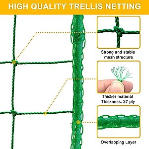 Garden Trellis Netting for Climbing Plants Outdoor, 6.6x16.4 FT Plant Netting for Cucumber, Tomato, 27 Strands Trellis Net with 4x4 Inch Mesh as Vegetable Netting for Grape, Bean