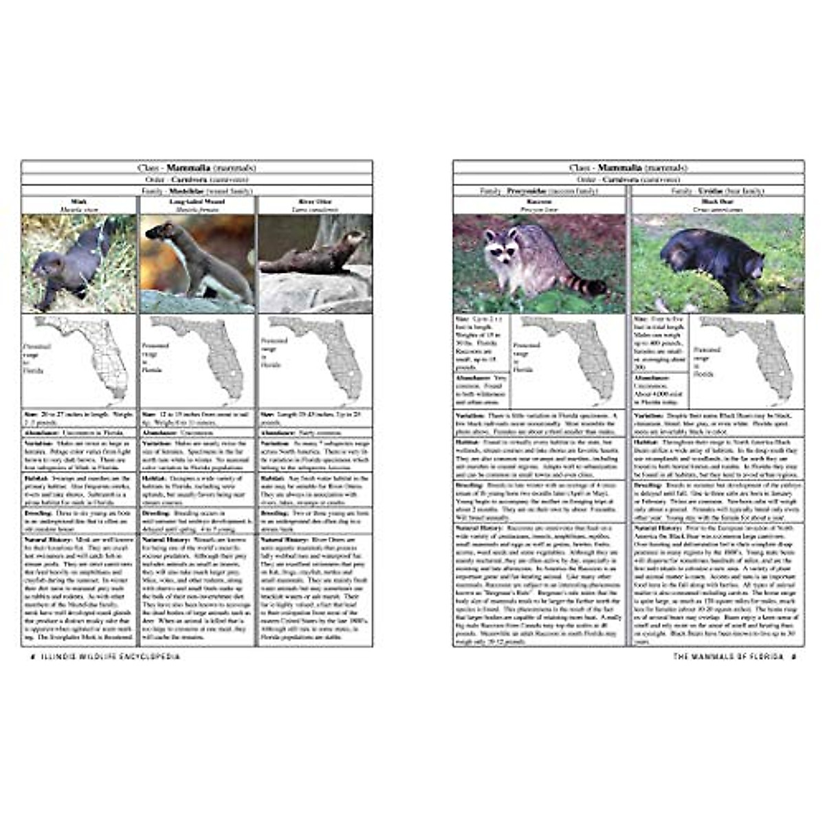 Florida Wildlife Encyclopedia: An Illustrated Guide to Birds, Fish, Mammals, Reptiles, and Amphibians