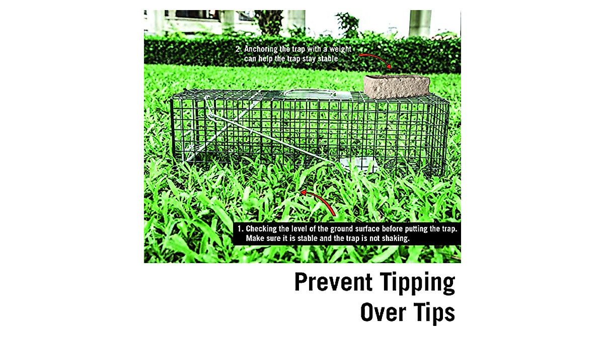 HOMESTEAD Heavy Duty Live Trap - Capture & Release Safely