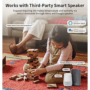 WiFi Temperature Humidity Sensor: Indoor Thermometer Hygrometer with App Alert, Free Data Storage Export, Smart Temperature Humidity Monitor for Home Pet Greenhouse, Compatible with Alexa (1-Pack)