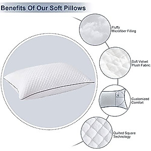 GOHOME Pillows Queen Size 2 Pack, Luxury Queen Size Pillows for Sleeping, Hotel Fluffy Pillow Set of 2, Soft Firm Adjustable Down Alternative Pillows for Side, Back, Stomach Sleepers -20"x30"