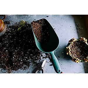 Natural Horticultural Perlite (1 Quart)