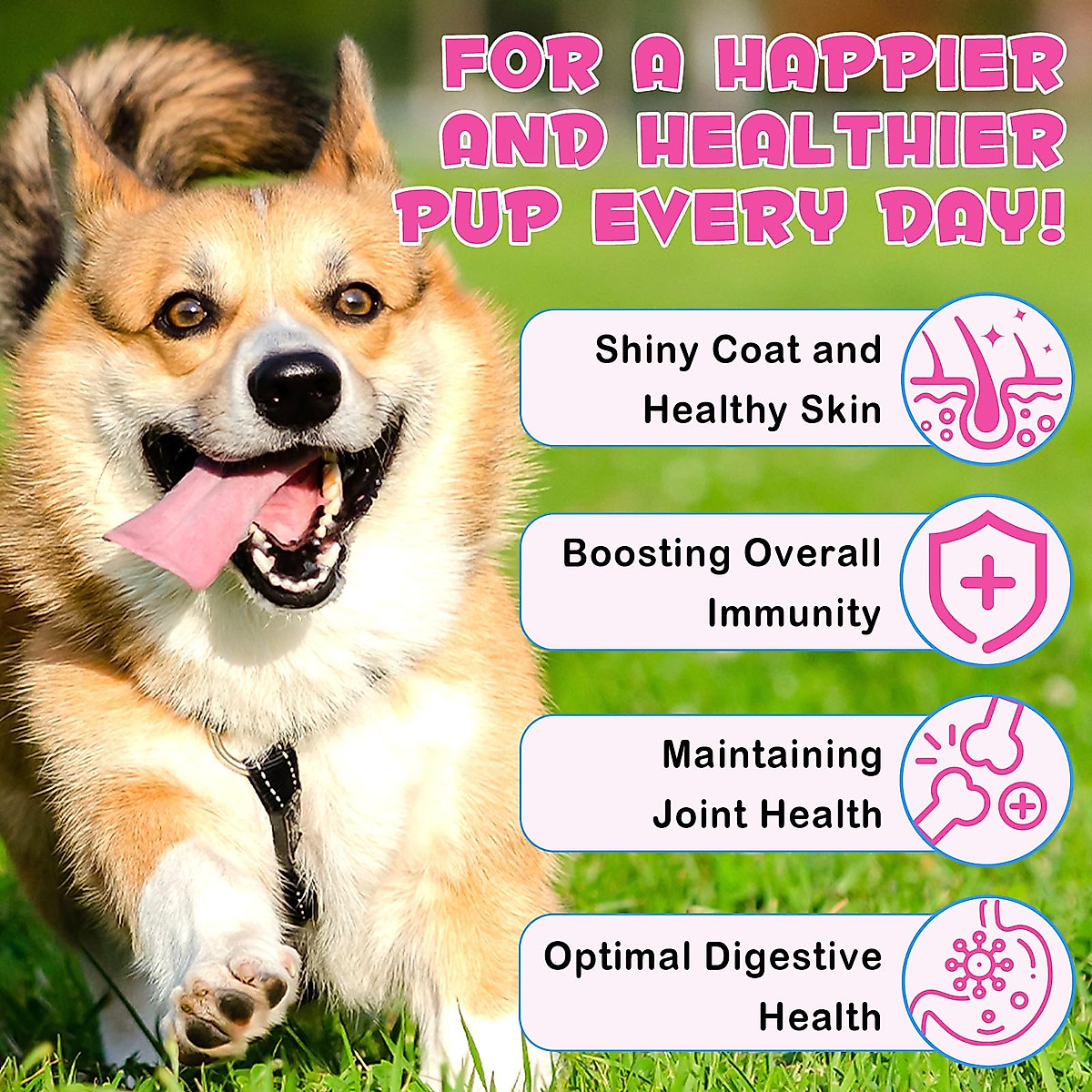 Liquid Collagen for Dogs, 60ML Dog Liquid Collagen with Biotin, MSM & Ginger for Itch Allergies Relief, Skin and Coat Supplement, Boosting Overall Immunity, Joint Support