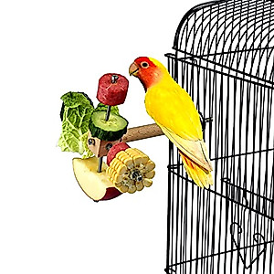 Xnuoyo Bird Food Holder, Parrots Foraging Toys for Birdcage, Rotating Stainless Steel Bird Treat Feeders, Parrot Fruit Vegetable Holder for Parakeets Parrotlets Lovebirds Cockatiels