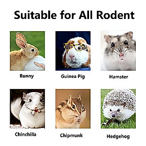 TANOMA Chew Treats Toys for Small Animal- Rabbits, Hamster, Guinea Pig, Chinchilla, Bunny