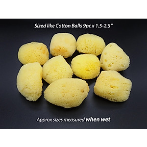 Natural Sea Silk Sponges 12pk: Size 9pc x1.5"-2.5" 3pc x 2.5"-3", like Cotton Balls, for Cosmetic Use, Makeup Application & Removal, Face & Eye Cleaning, with Luxury Gift Bag by Constantia Beauty®