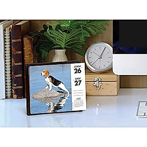 Just Beagles 2021 Box Calendar (Dog Breed Calendar)