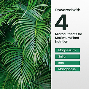 16oz Palm Tree Fertilizer, Premium Plant Food - Palm Fertilizer for Lush Growth of Palm Trees, Rich in Plant Nutrients Plant Fertilizer, Easy Plant Care Liquid Fertilizer - Water Soluble Fertilizer