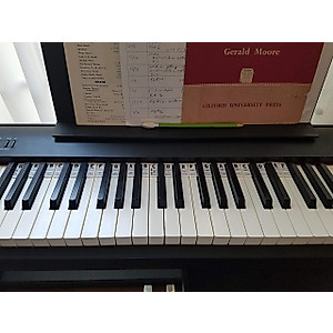 The Piano Rake (Piano Guide) | Learn Notes Instantly | Ultimate Accessory | Better Than Messy Stickers | Fits All Full-Size Key Pianos & Keyboards | 35 Key Length Shows Grand Stave