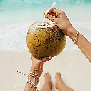 Taste Nirvana Real Coconut Water, Premium Coconut Water, 9.5 Ounce Glass Bottles (Pack of 12)