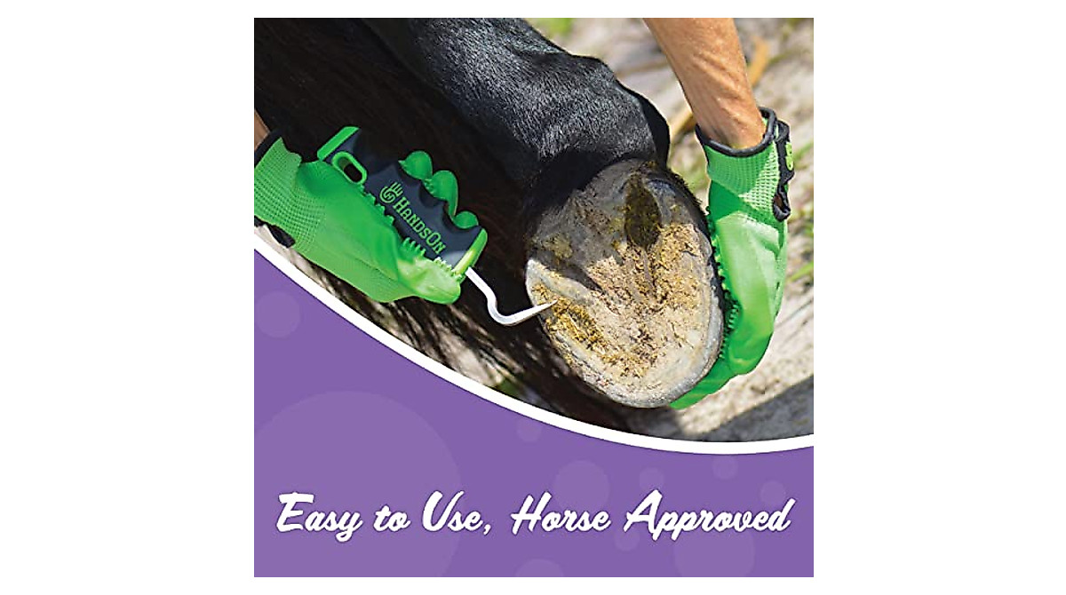 Handson Hoof Pick - Essential Horse Grooming Tool