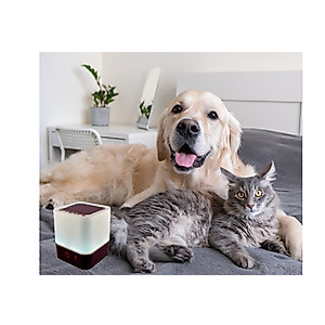 PET Tunes PRO- A Multisensory Calming Music Speaker for Dogs ad Cats- Veterinary, Kennel and Home