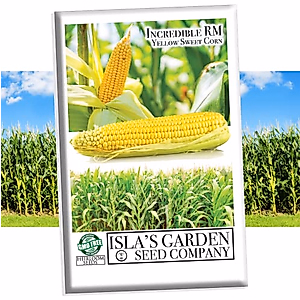 "Incredible" RM Sweet Yellow Corn, 75 Heirloom Seeds, Sweet Incredible Flavor! Fantastic Addition to Your Home Garden! (Isla's Garden Seeds),90% Germination Rates, Non GMO Seeds