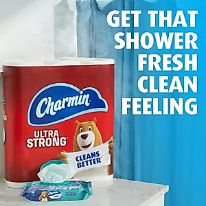 Charmin Flushable Wipes, 4 packs, 40 Wipes Per Pack, 160 Total Wipes