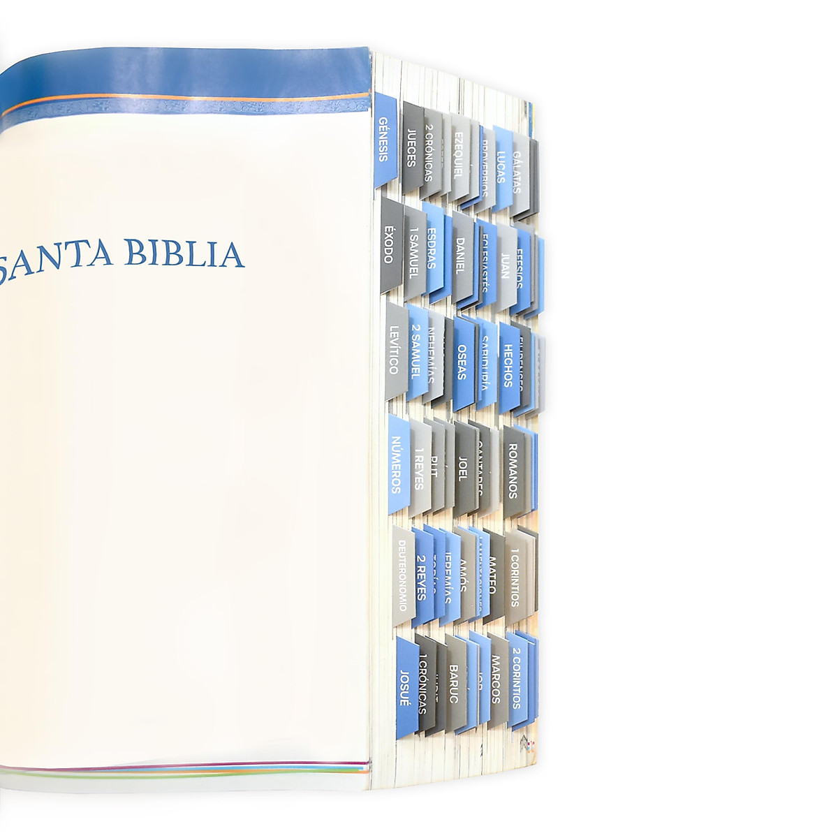 PEZ DE PAPEL Pestañas para Biblia Católica, en español. Catholic Bible Tabs, in spanish (Blue and gray)