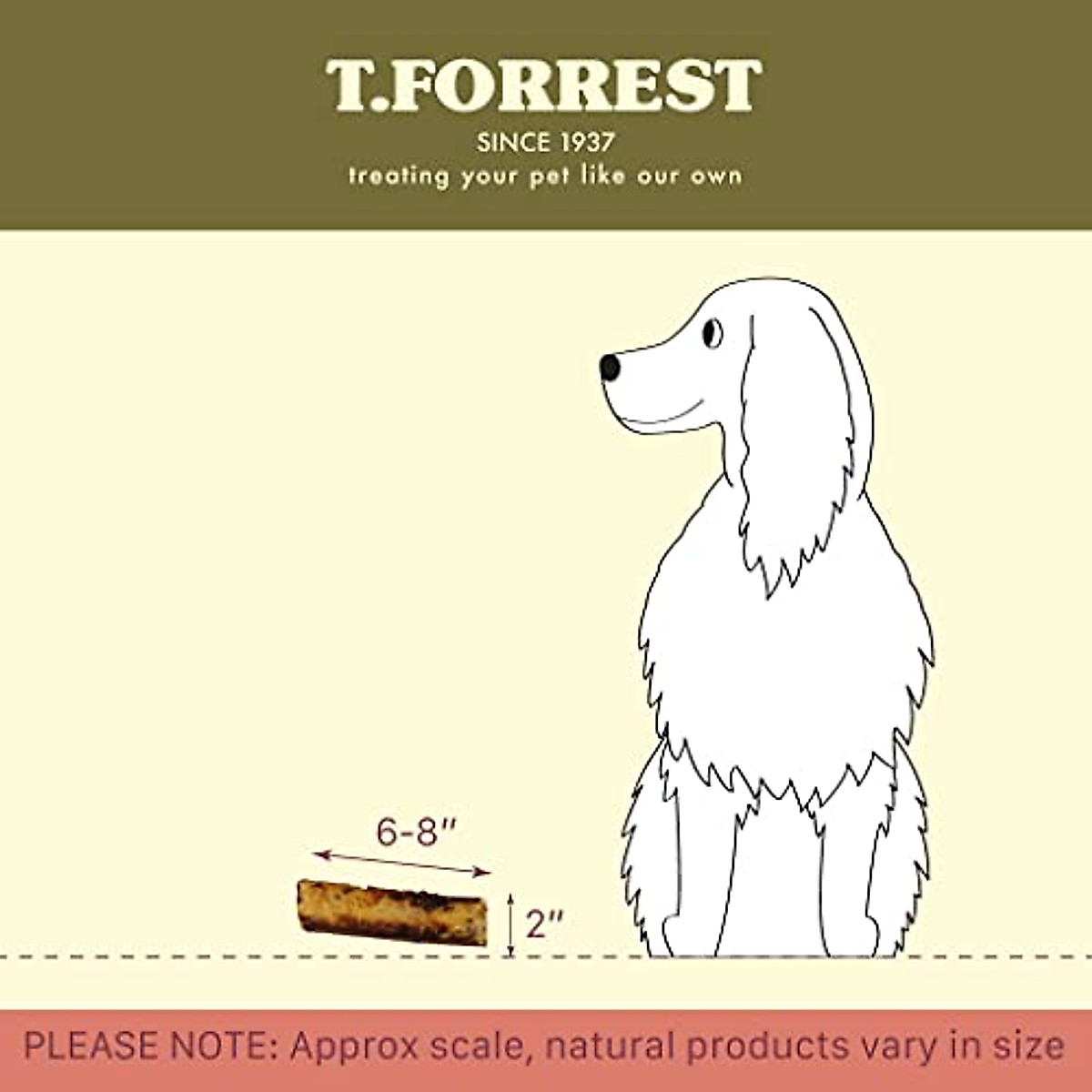 T. Forrest Beef Rib Dog Bones 6-8" (6 Pack) Natural Grass Fed Made in UK