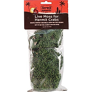Fluker's Live Moss for Hermit Crabs, 0.7oz Green