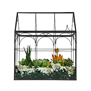 Large Tall Plant Greenhouse Terrarium Glass with Lid, 8.7"X5.9"X10.6" Inches Indoor Tabletop Orchid Succulent Cacti Terrarium Kit NA (House Black A)