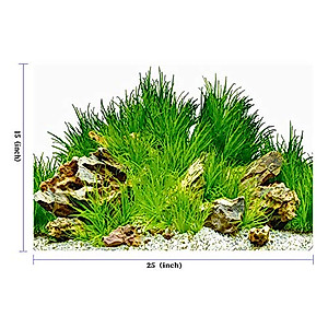 New Grass, Stones, Tree Background Aquarium Background Decoration 25 x 15 inches